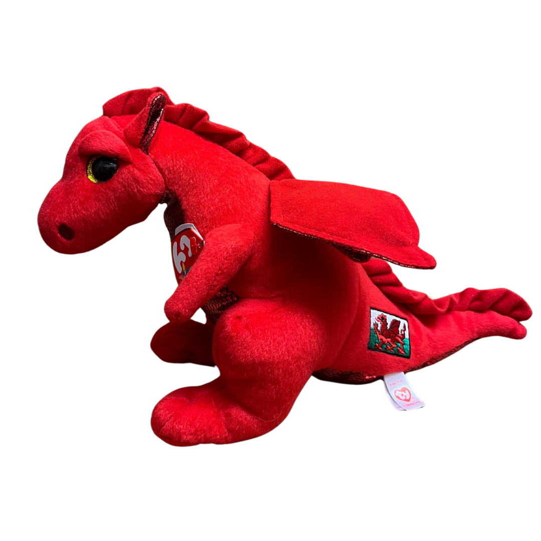 TY Welsh Dragon – Cadwyn Cyf